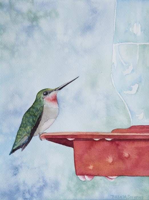 Watercolor Crash Course with Brenda Stevens- Hummingbird Saturday March ...